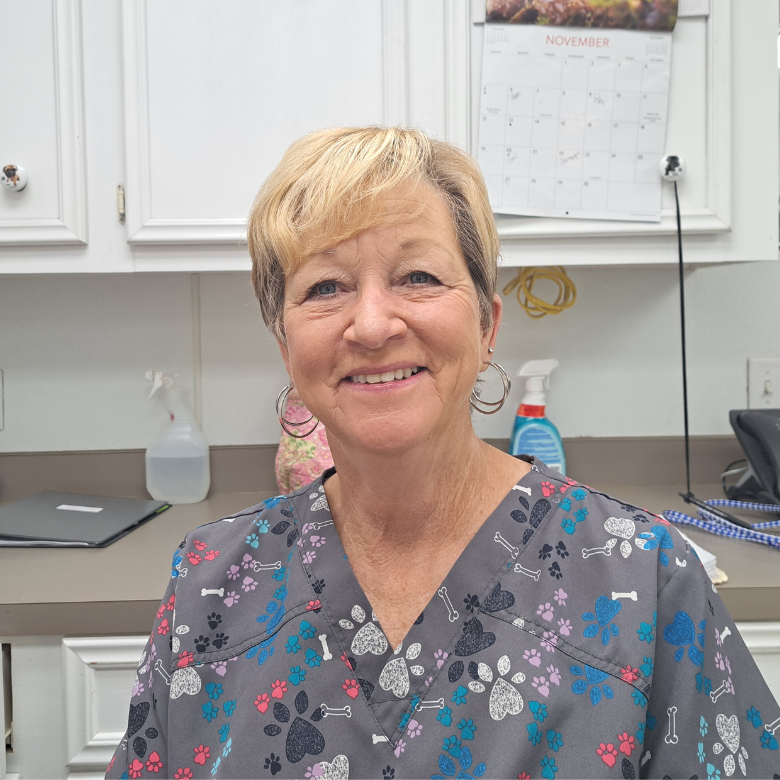 Veterinarian In Magnolia, AR 71753 | Magnolia Veterinary Services